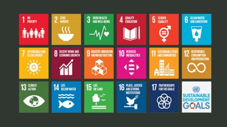 The Importance of the Sustainable Development Goals (SDGs) and Their ...