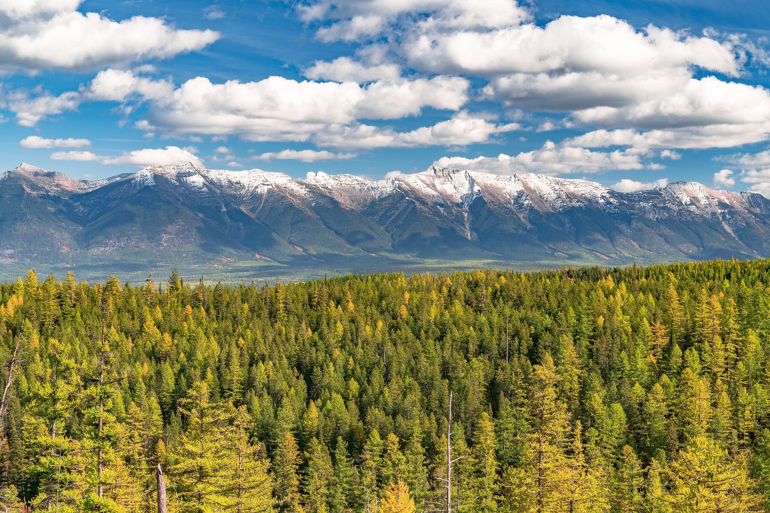The Six Benefits of Landscape Conservation: Preserving Our Natural ...