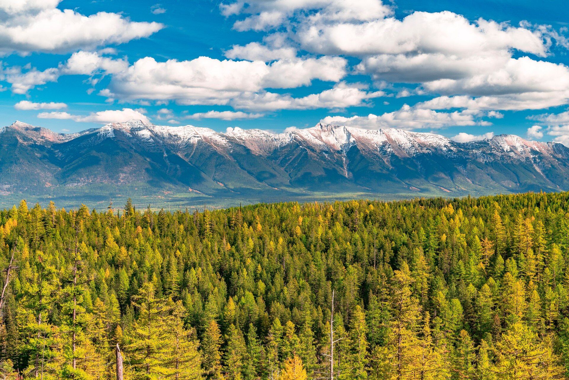 The Six Benefits of Landscape Conservation: Preserving Our Natural ...